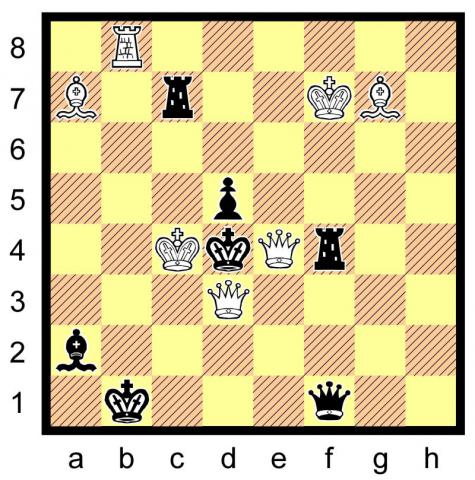 Kniffel-Schach Nr. 1001 | prag aktuell